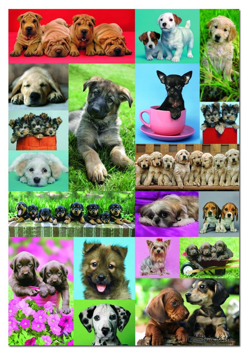 1000 COLLAGE PERRITOS - Puzzles Tu Me Completas
