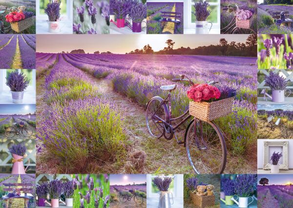 1000 Aroma a lavanda, Assaf Frank – Puzzles tu me completas