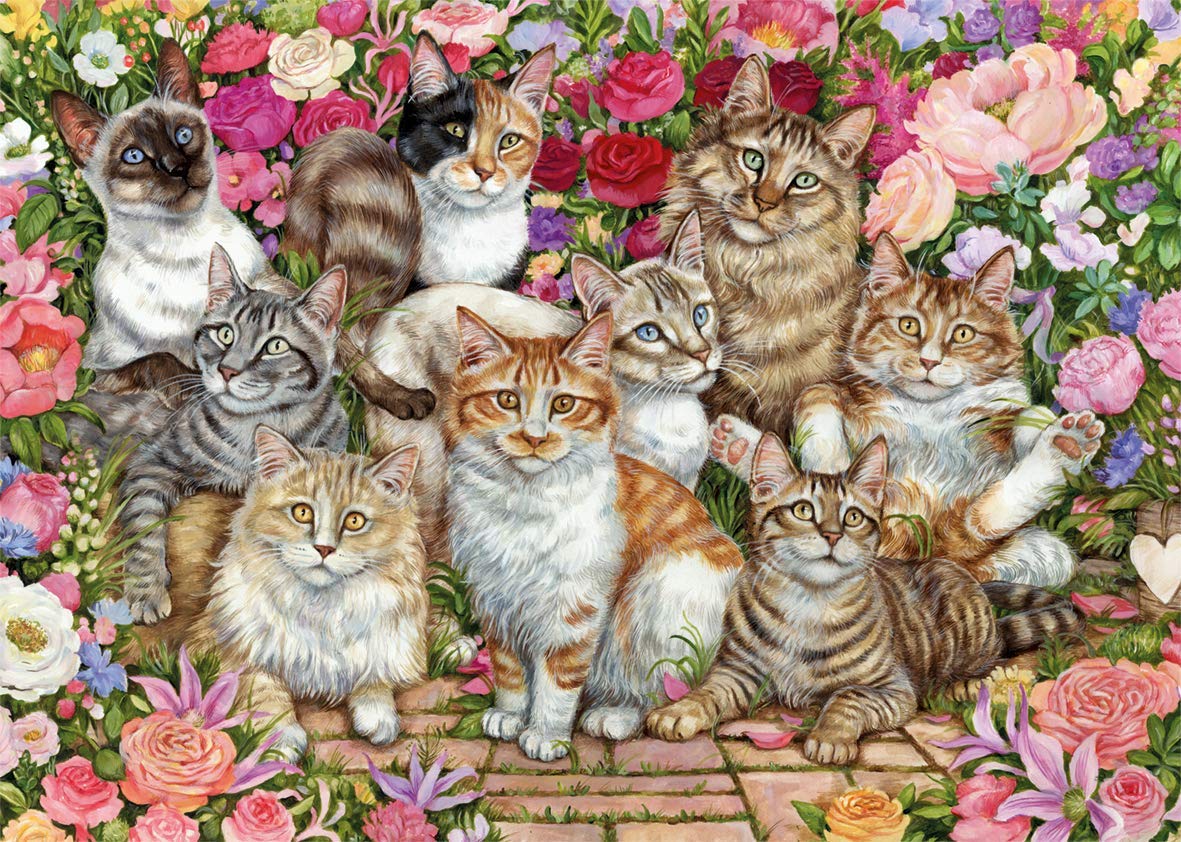 Puzzle 1000 Gatos Y Flores De FALCON